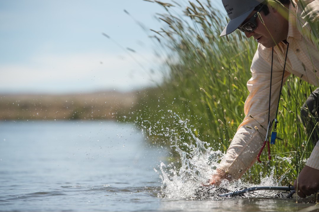 Fish Handling 101: Keeping Them Healthy, Especially When It’s Hot